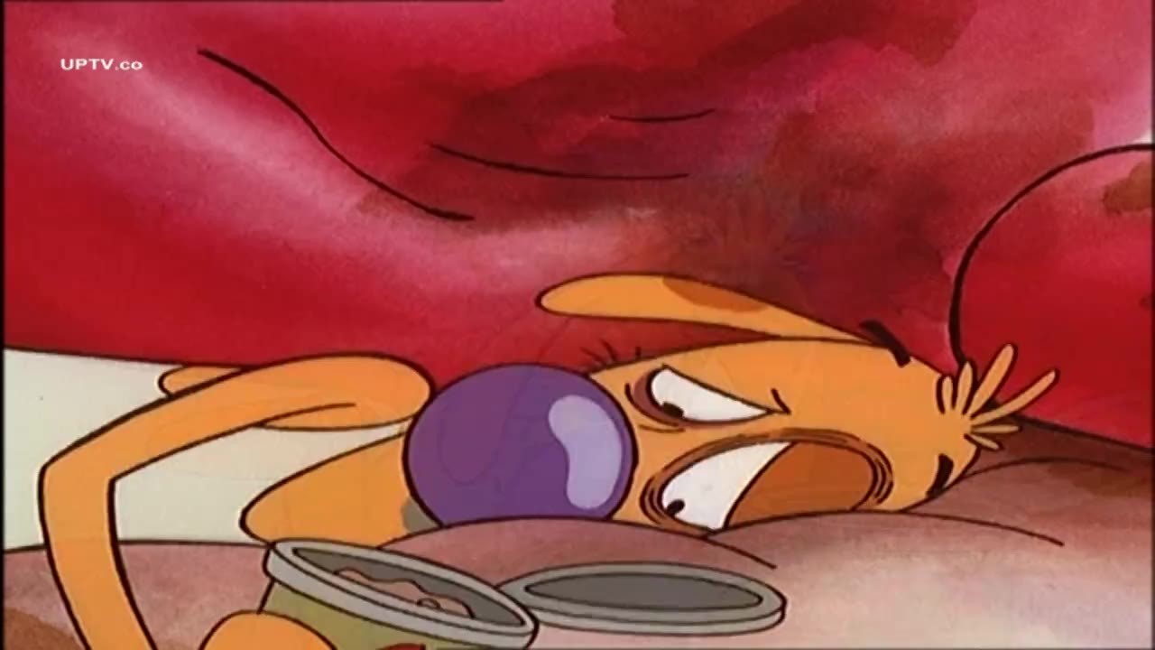 دانلود قسمت 5 انیمیشن گربه سگ "CatDog" با دوبله فارسی - ویدانه